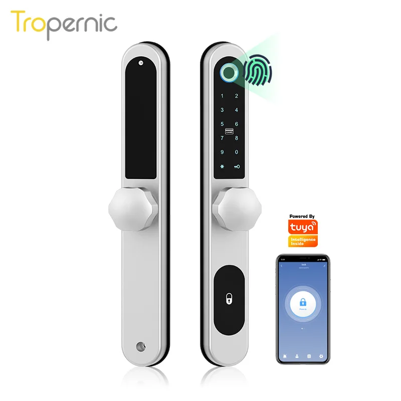 Aluminum Patio Sliding Glass Door Smart Lock Tuya App Handle Keypad ...